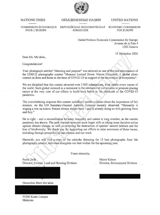 Photography Services | Kakkin Photography